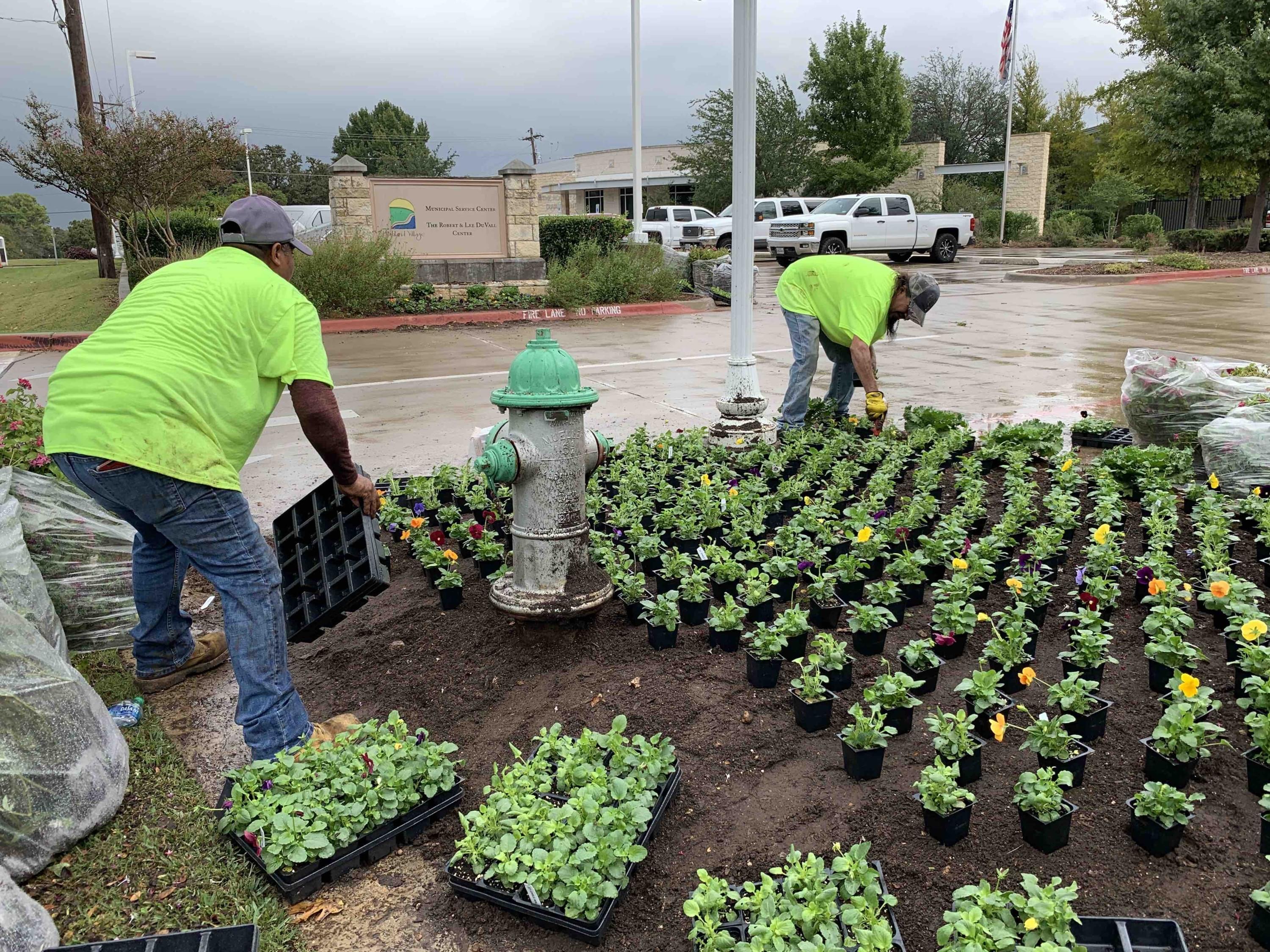 Commercial Landscaping in DFW